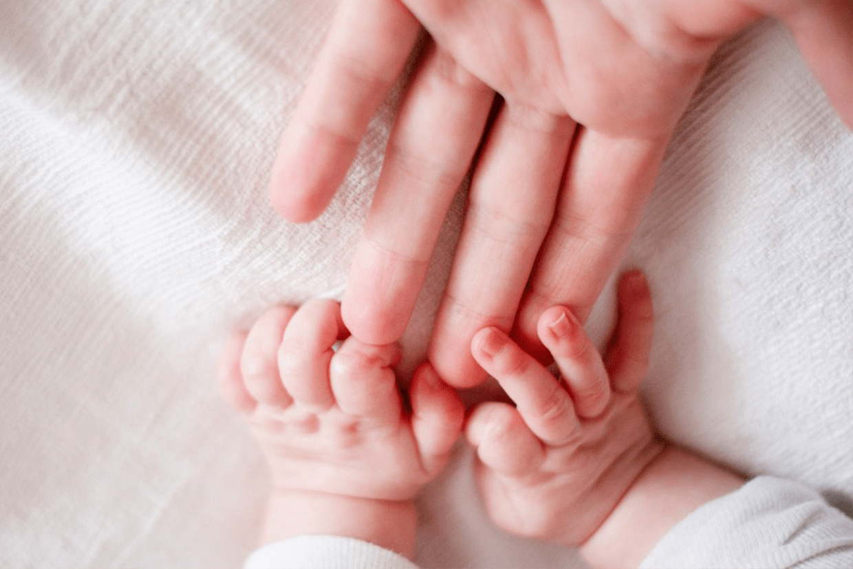 Maternidad, labor y parto [2024] - Hospital y Clinicas Viera